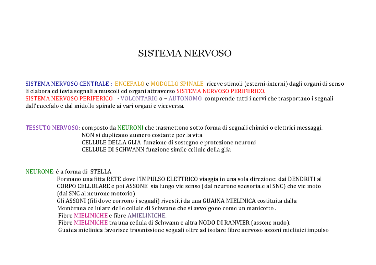 SISTEMA NERVOSO: STRUTTURA E FUNZIONI DEL SNC E SNP - Studocu