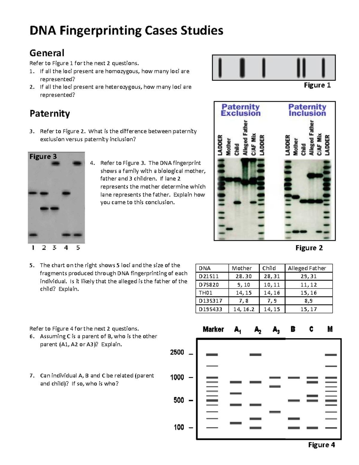 DNA Fingerprinting Cases Studies WS - DNA Fingerprinting Cases Studies ...
