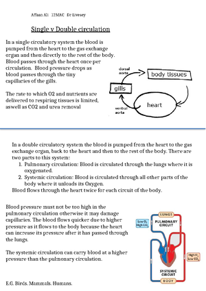 [Solved] Explain why the wall of the lower chambers of the heart are ...