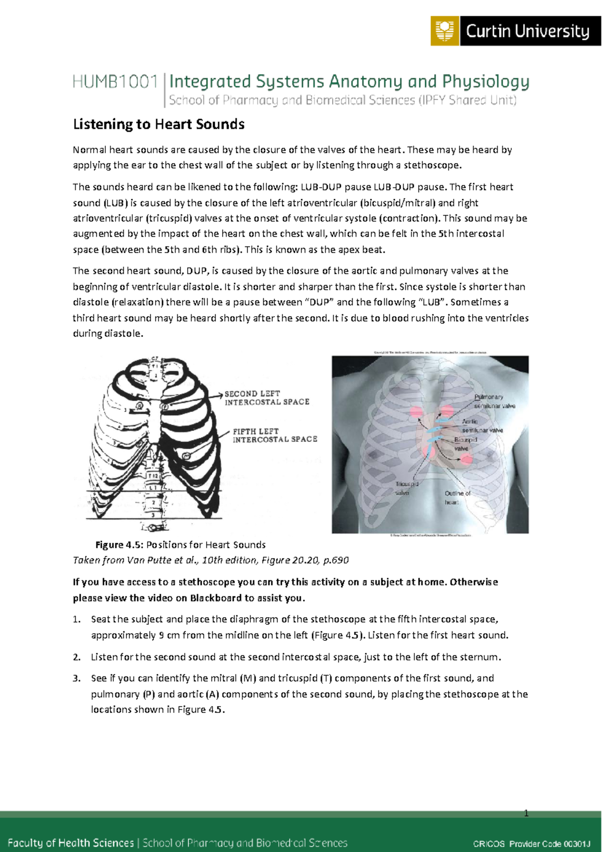 Module 4: ECG and Heart Sounds Analysis for Cardiac Function - Studocu