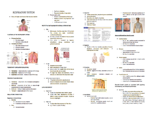 Tahbso - Total Abdominal Hysterectomy Bilateral Salpingo-Oophorectomy ...