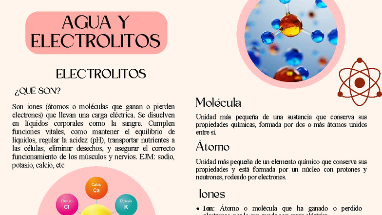 AGUA Y ELECTROLITOS: Funciones y Conceptos Clave en Fisiología - Studocu