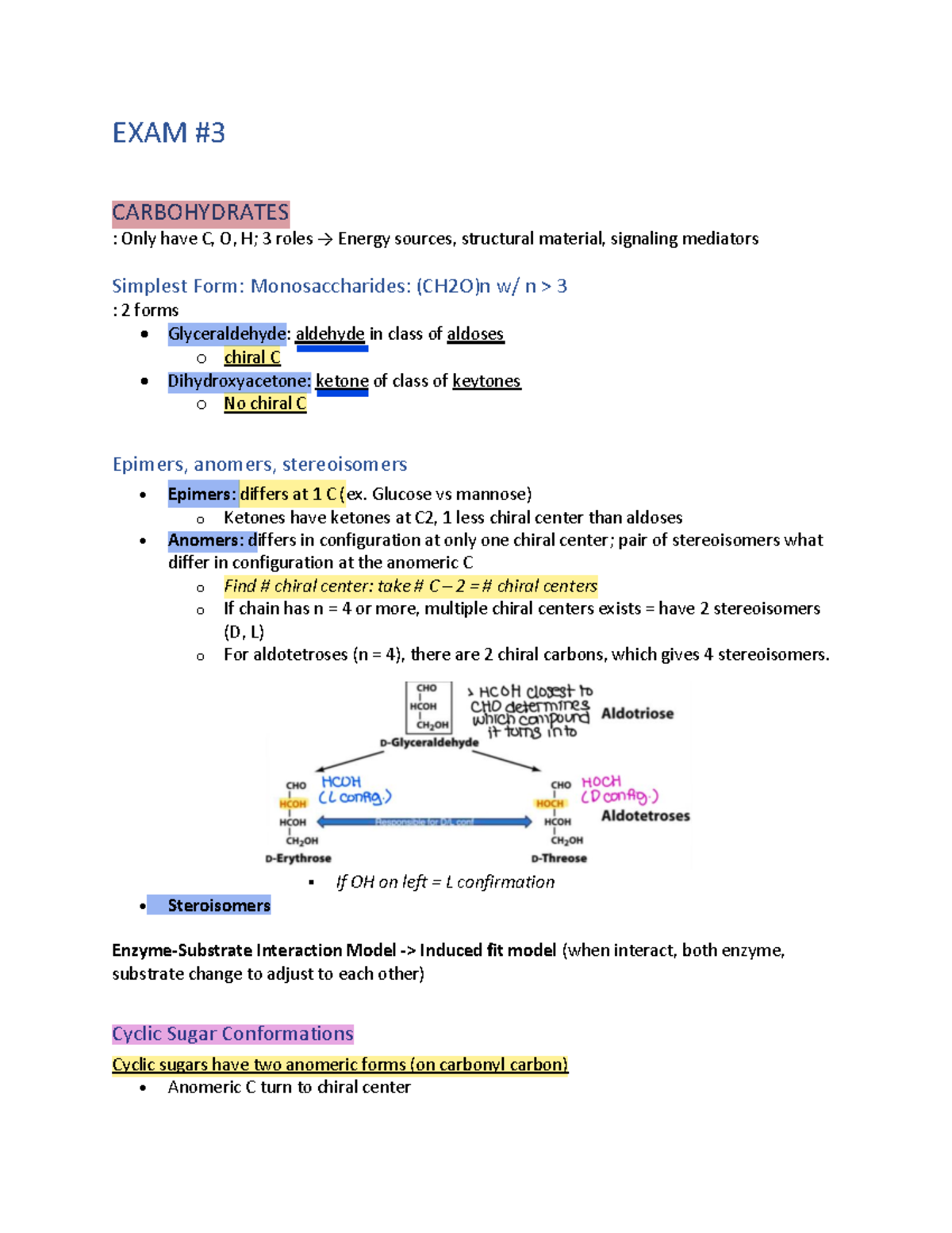Bio chem - Exam #3 - Exam 3 study guide - EXAM CARBOHYDRATES : Only ...