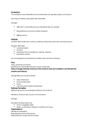 Chapter analysis - Summary The Memory Police - Chapter analysis Main ...