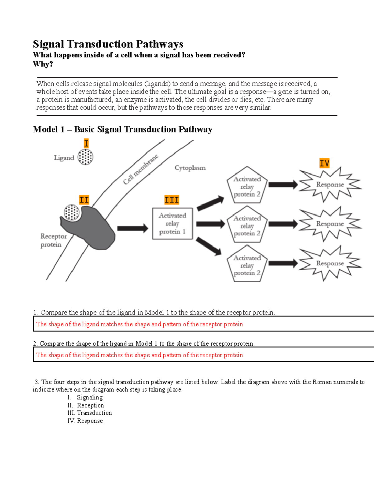 Kuria Malohifoou - 13 Signal Transduction Pathways Study Notes - Studocu