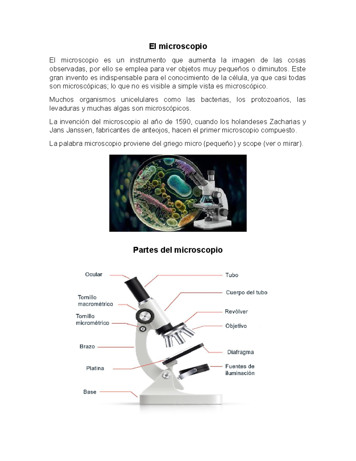 Biología 101 - Resumen sobre El Microscopio y sus Partes - Studocu