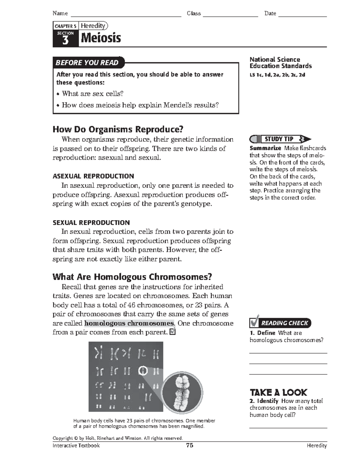 Meiosis and Genetics: Understanding Heredity (NSES LS 1c, 1d, 2a, 2b ...