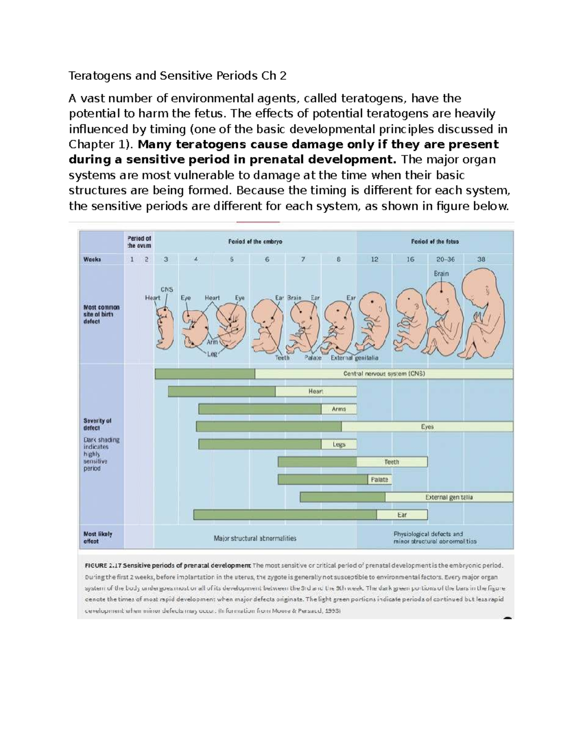 Teratogens and Sensitive Periods: Impacts on Prenatal Development - Studocu