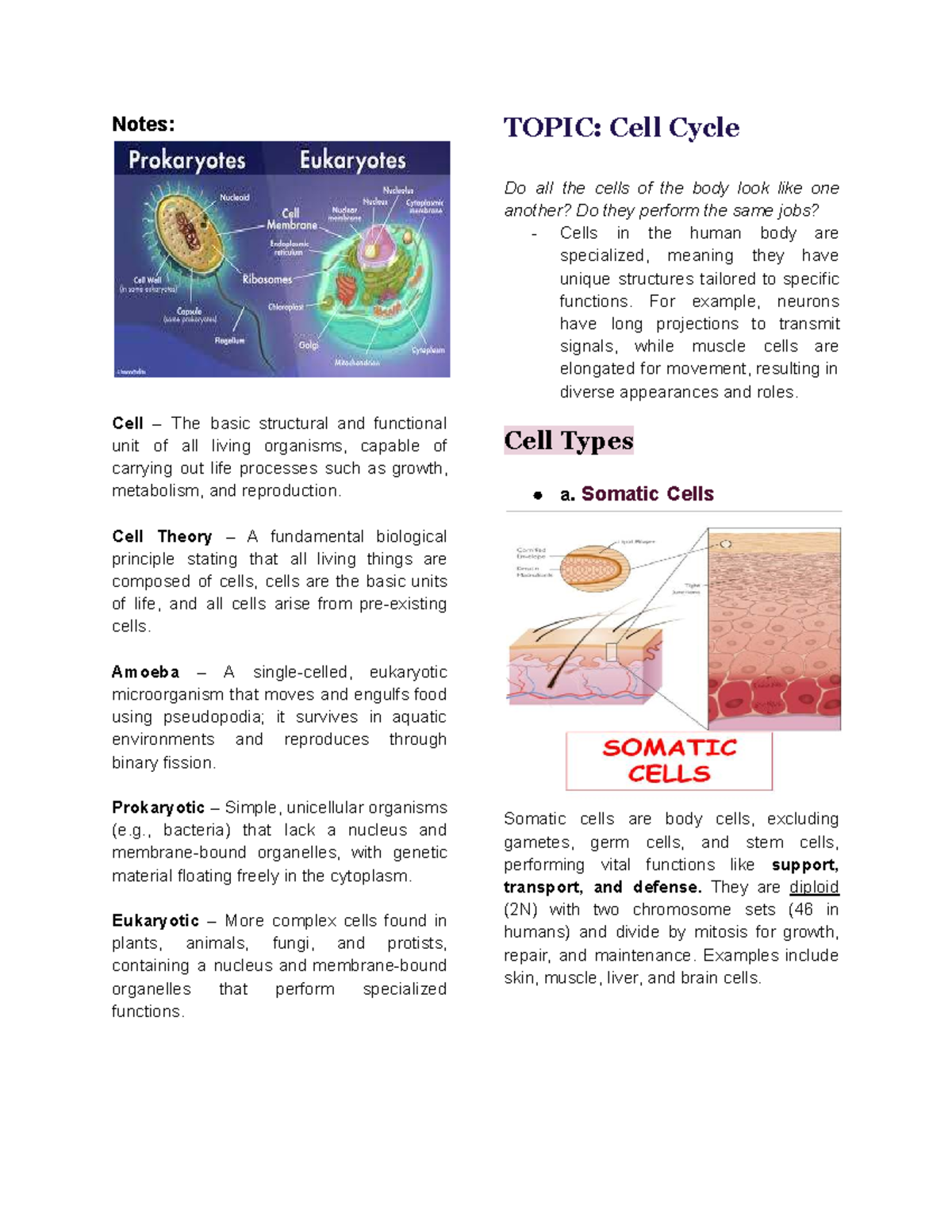 GEN LAB - CELL Division 57631 ea6-b49f-4b77-926d-d8e11f7cb25b - Notes ...