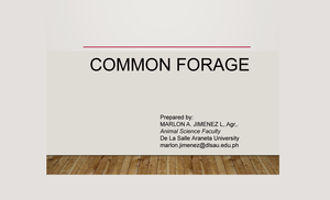 What is History According to Filipino Historians - What Teodoro ...