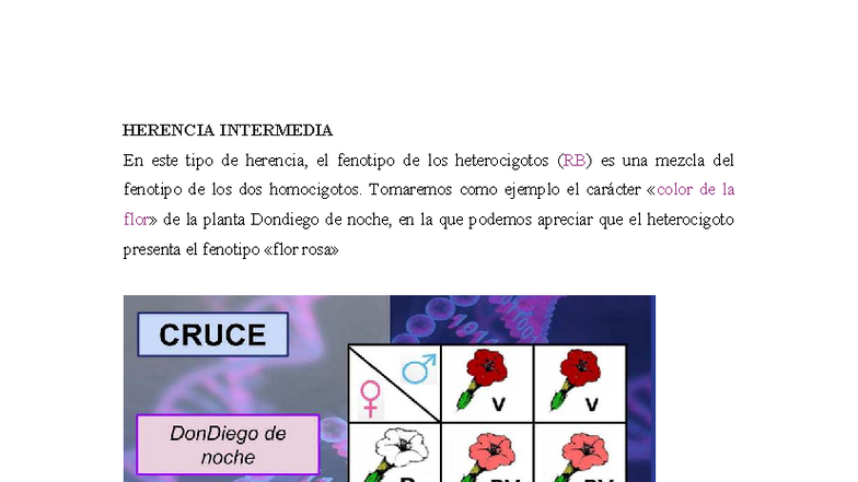 HERENCIA INTERMEDIA Y CODOMINANCIA - Lengua 101 - Studocu