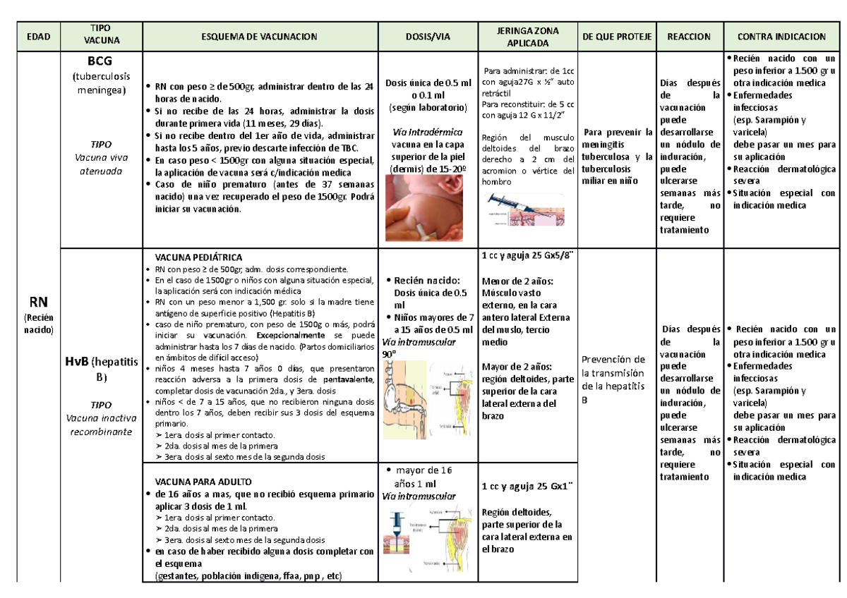 Calendario de Vacunación Infantil 1HJ: Esquemas y Dosis - Studocu