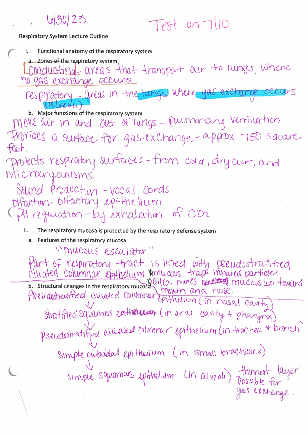 Respiratory System Lecture Outline (BIO 101) - Studocu