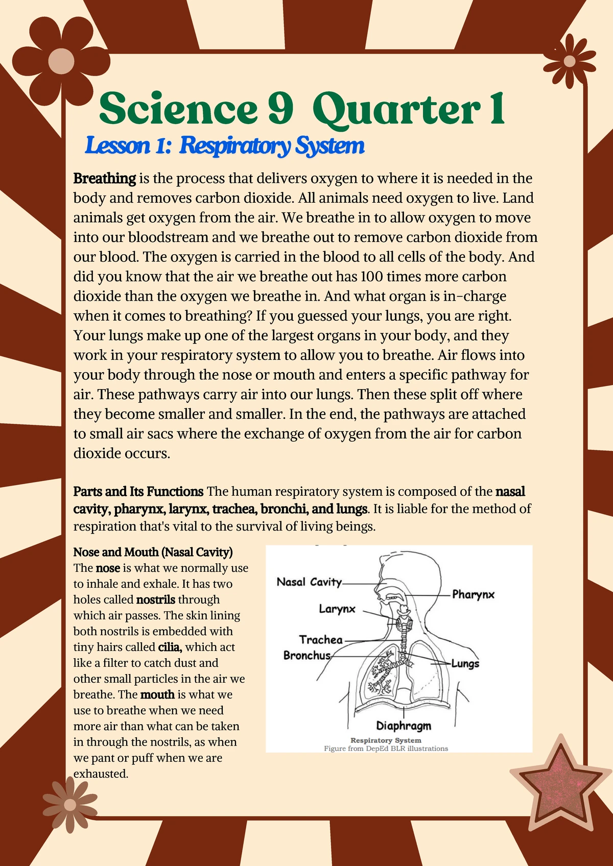 WS WS Q3 Sci 4 Lesson 1 Weeks 1-3: MATATAG Curriculum Insights - Studocu