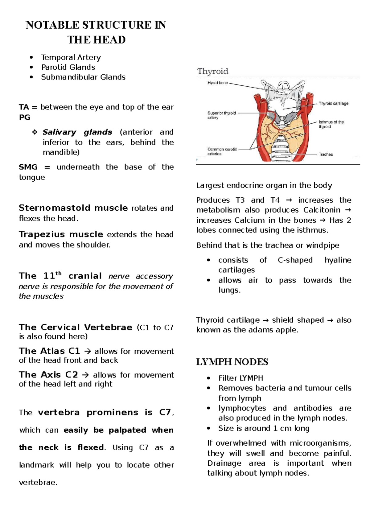 Health Assessment Notes: Anatomy & Head/Neck Conditions - Studocu