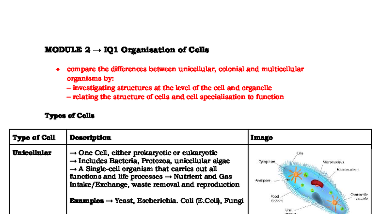 MODULE 2 IQ1: Comparing Unicellular, Colonial, and Multicellular ...