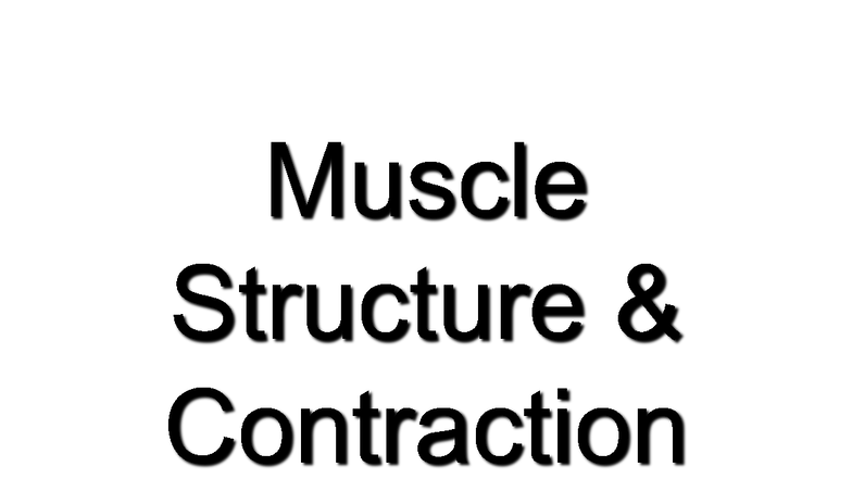 Muscle Structure & Contraction Overview (Course Code: 2) - Studocu