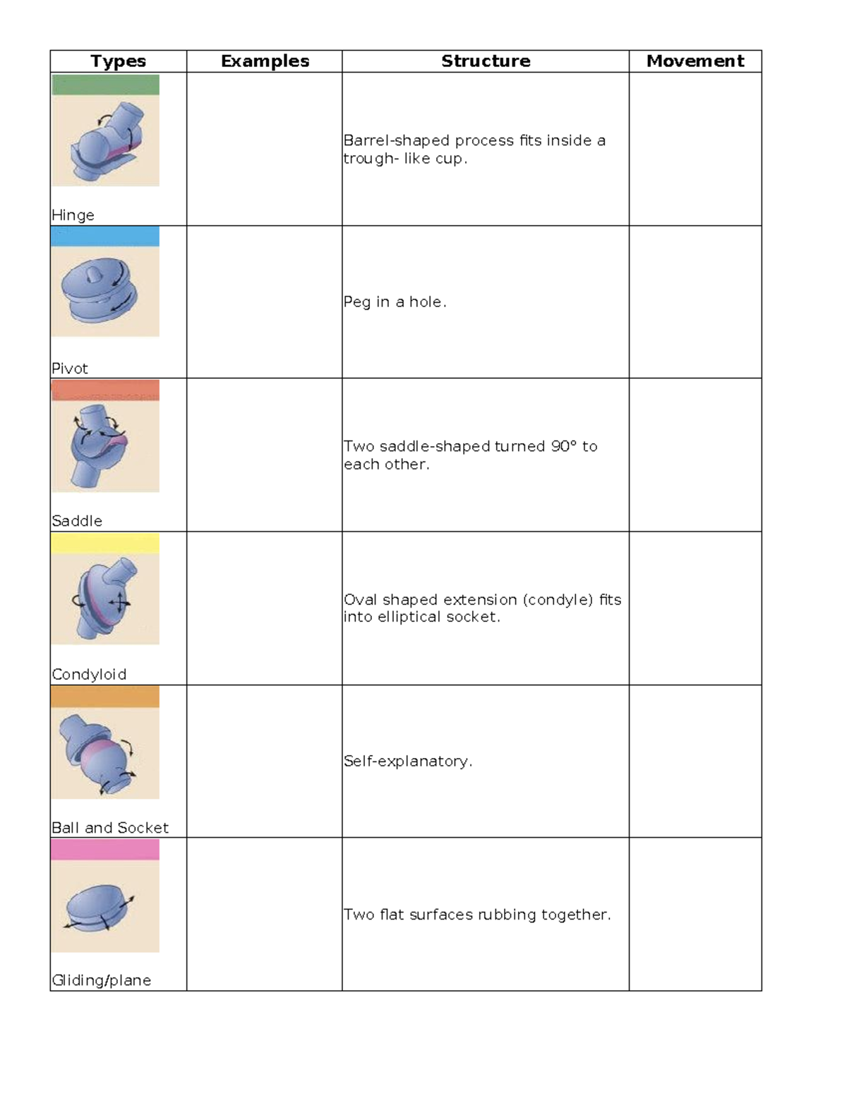 8 Synovial joints Pogil - Types Examples Structure Movement Hinge ...