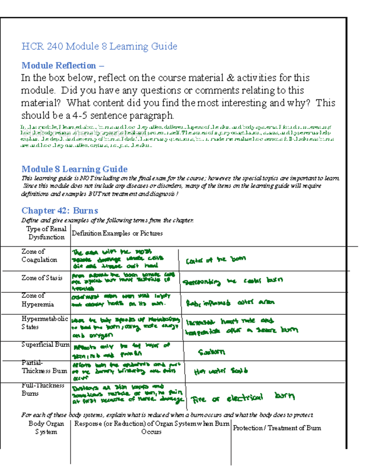 HCR 240 Module 8 Learning Guide: Reflection on Burns and Aging - Studocu