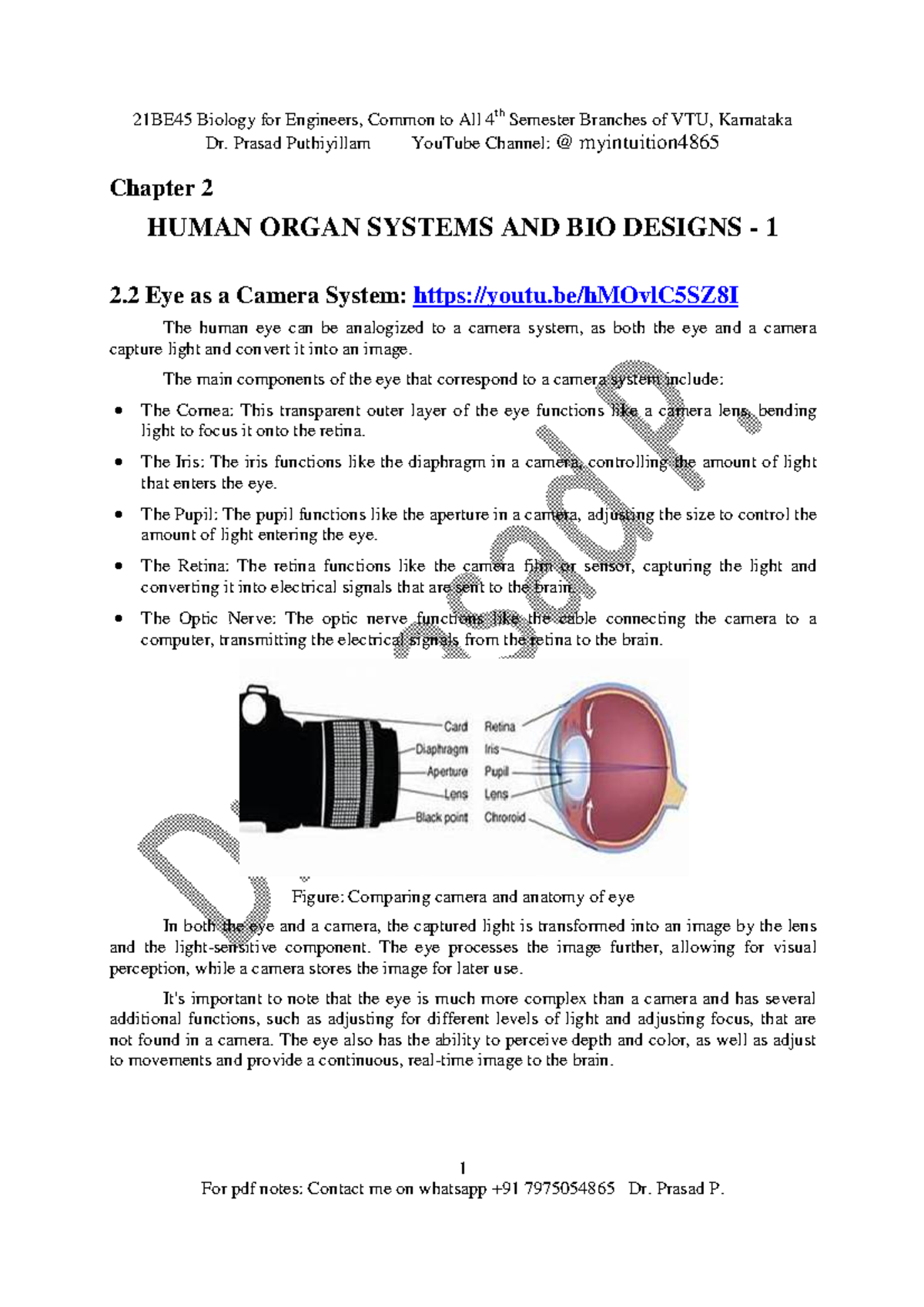 2.2 Eye as a Camera System in 21BE45 Biology for Engineers - Studocu
