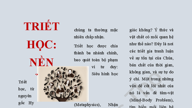BTH 12: Tham Khảo Về Triết Học và Các Nhánh Chính - Studocu