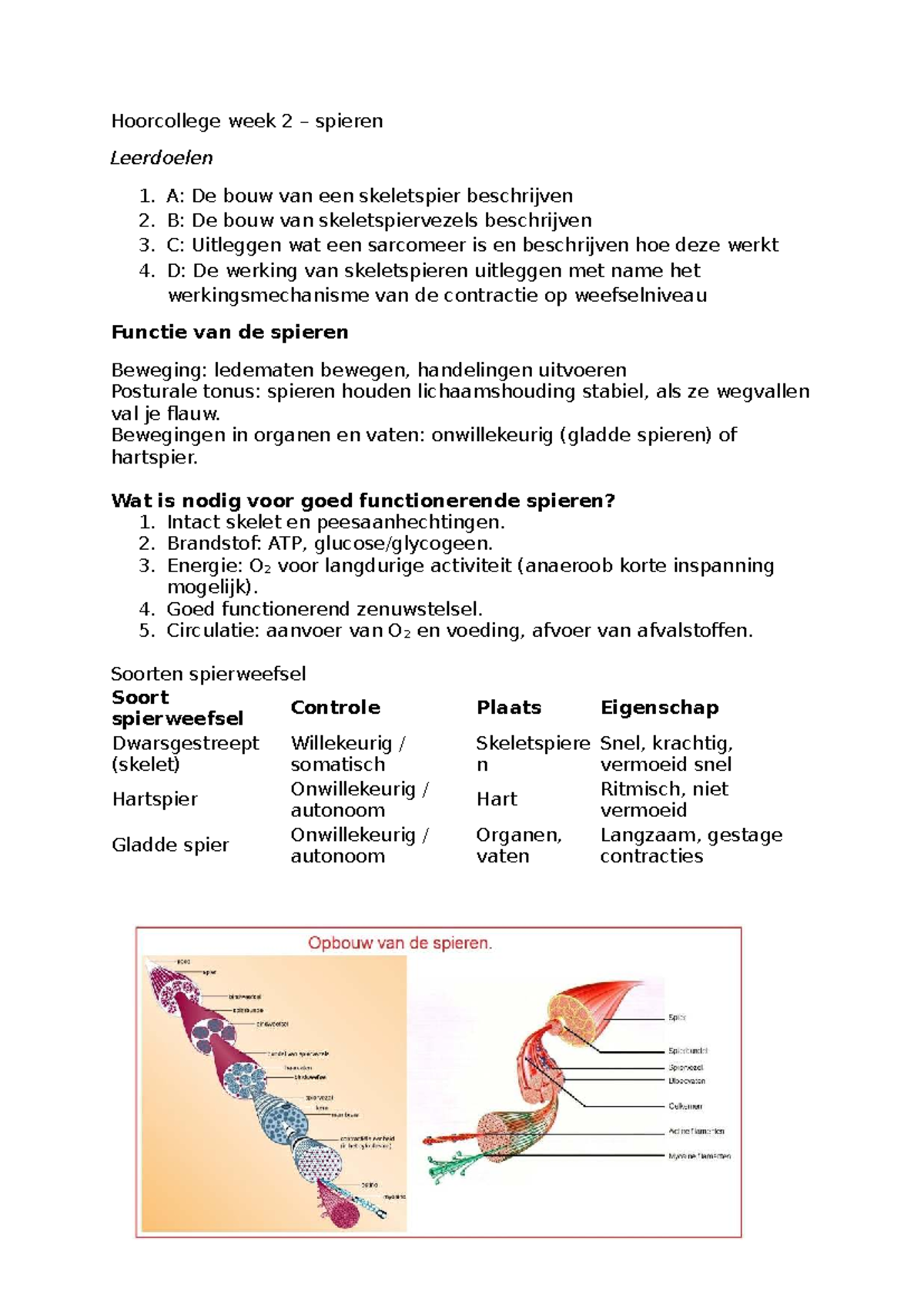 Hoorcollege Week 2: Skeletspieren en Hun Functies - Studeersnel