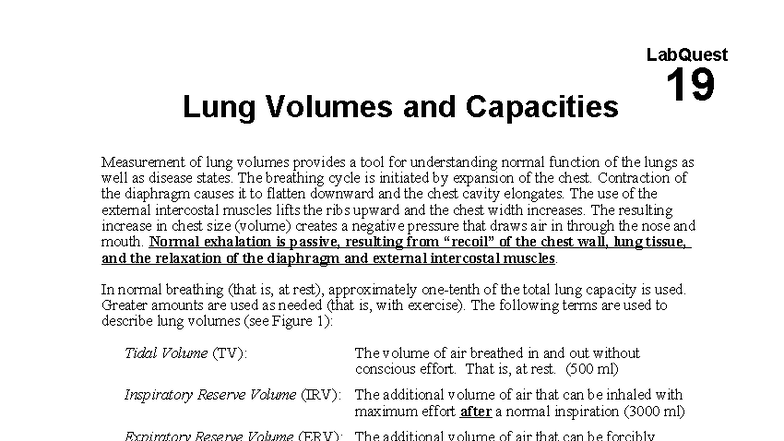 LabQuest 19: Lung Volumes and Capacities Measurement Report - Studocu