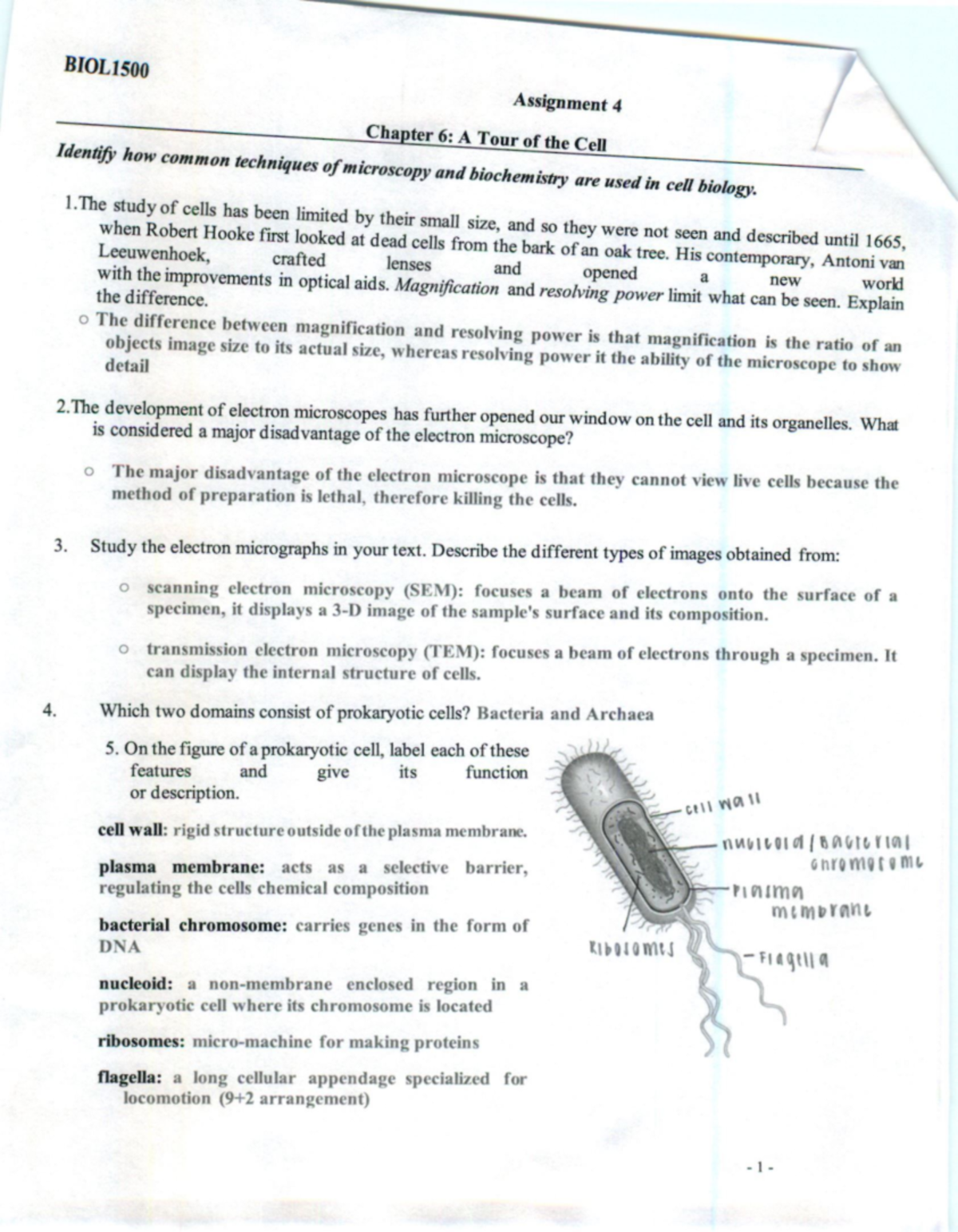 BIOL1S Final Exam: Tour of Cell Structure and Functions Worksheet - Studocu