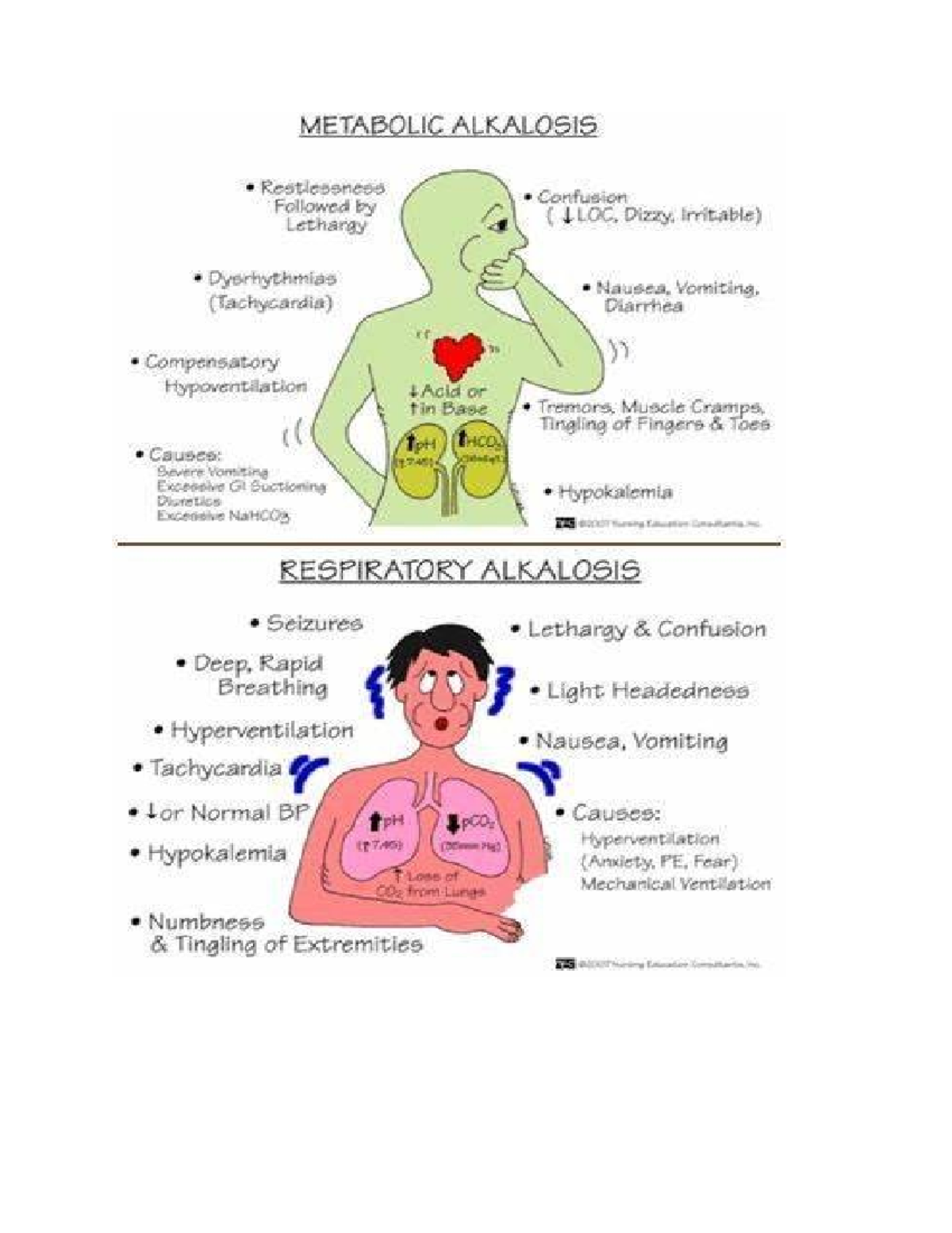 ABG Concepts: Metabolic & Respiratory Alkalosis Overview - Studocu