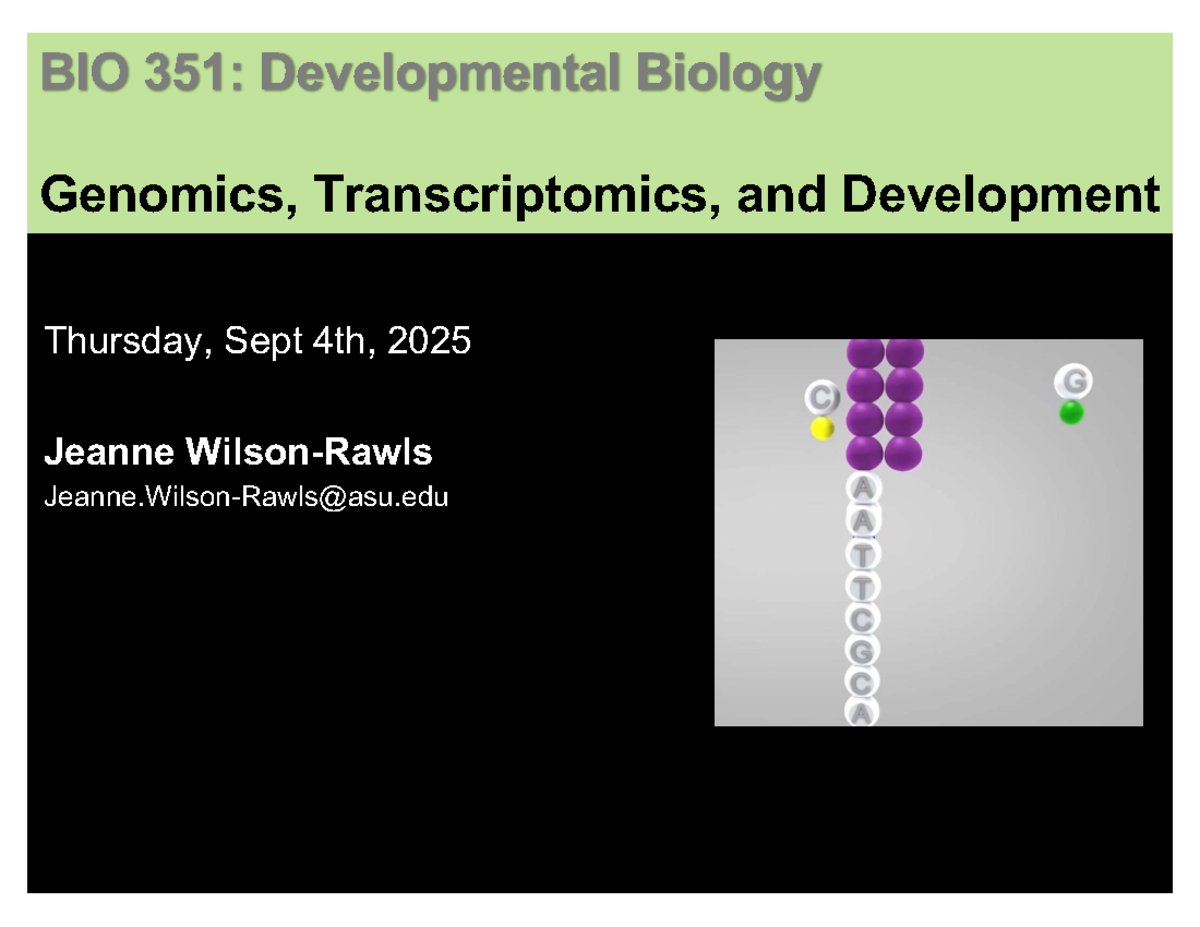 BIO 351: Developmental Biology - Genomics & Transcriptomics Insights ...