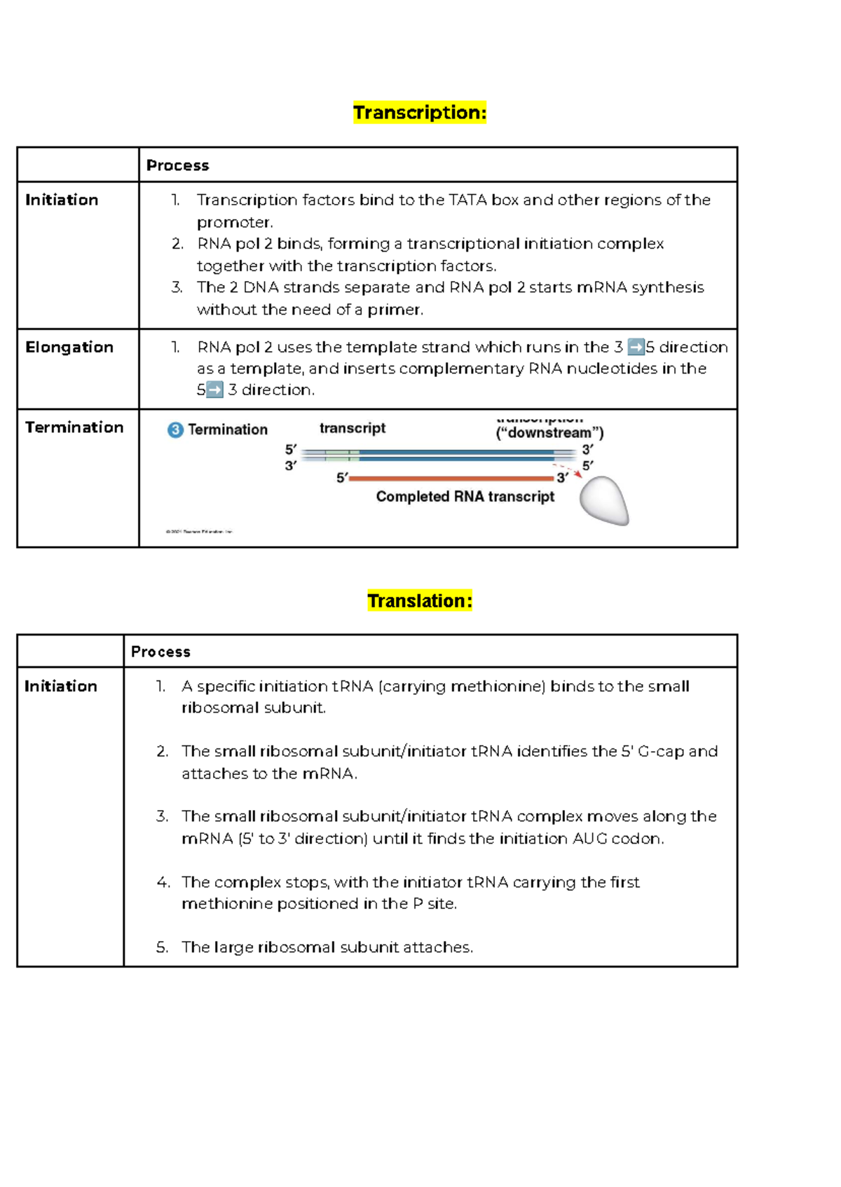 CELS191 -Module 1 2 tables-Zehra Safa - Transcription: Process ...