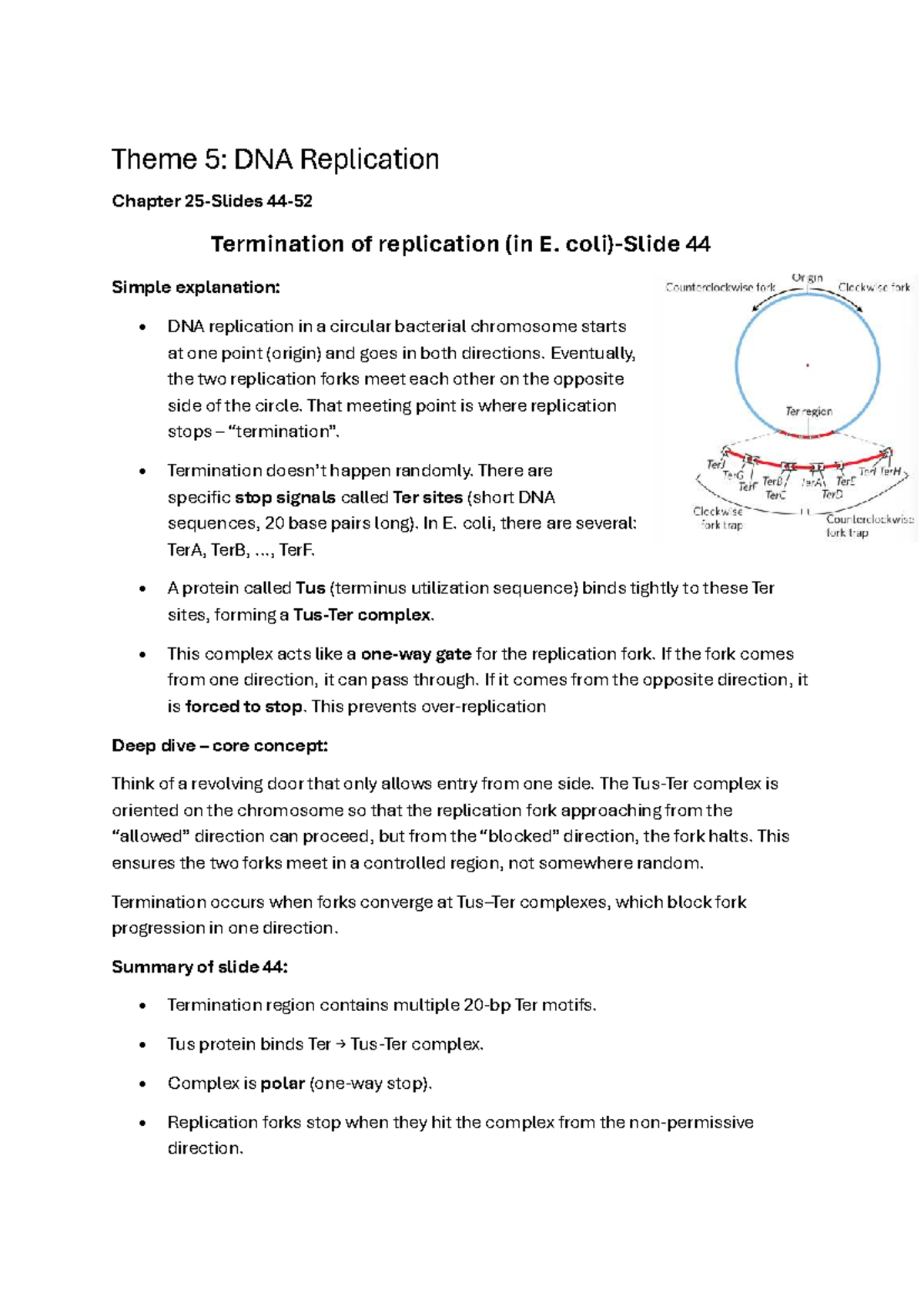 Theme 5: DNA Replication & Repair Study Notes - Summary - Studocu