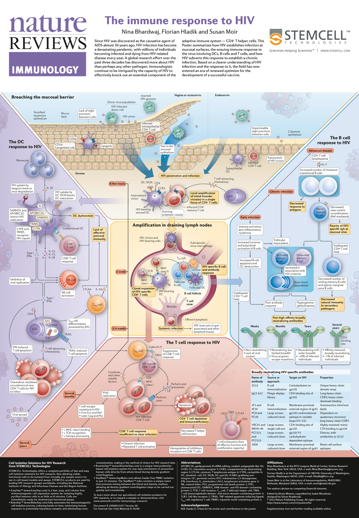 10000011477-Immune Response HIV - SAMHD APOBEC3G CYPA TRIM TReg cell ...