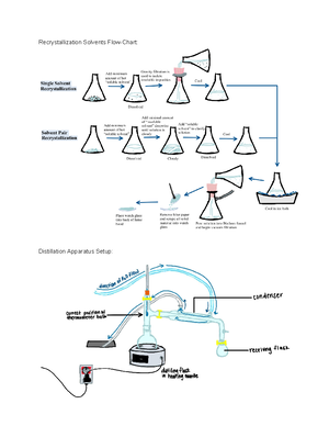 Organic Chemistry 2 Lab - Final Exam Study Guide - 0-8 ppm What are the most common leaving ...