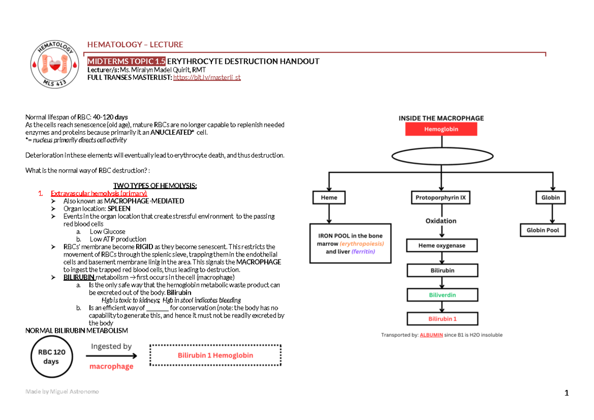 [HEMA-LEC] M1.5 Erythrocyte Destruction & Hemolysis Concepts Handout ...