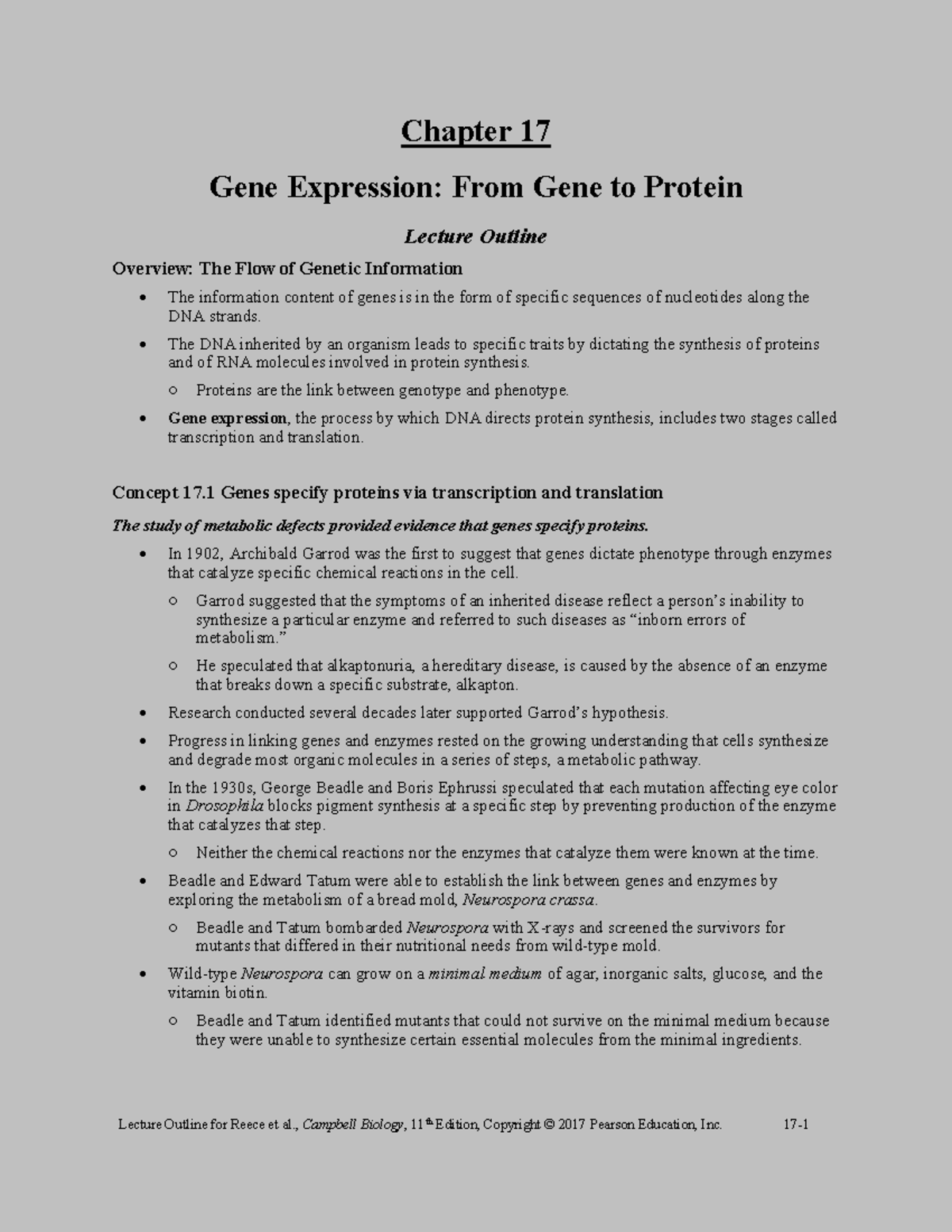 Chapter 17: Gene Expression - From Gene to Protein (Lecture Outline ...