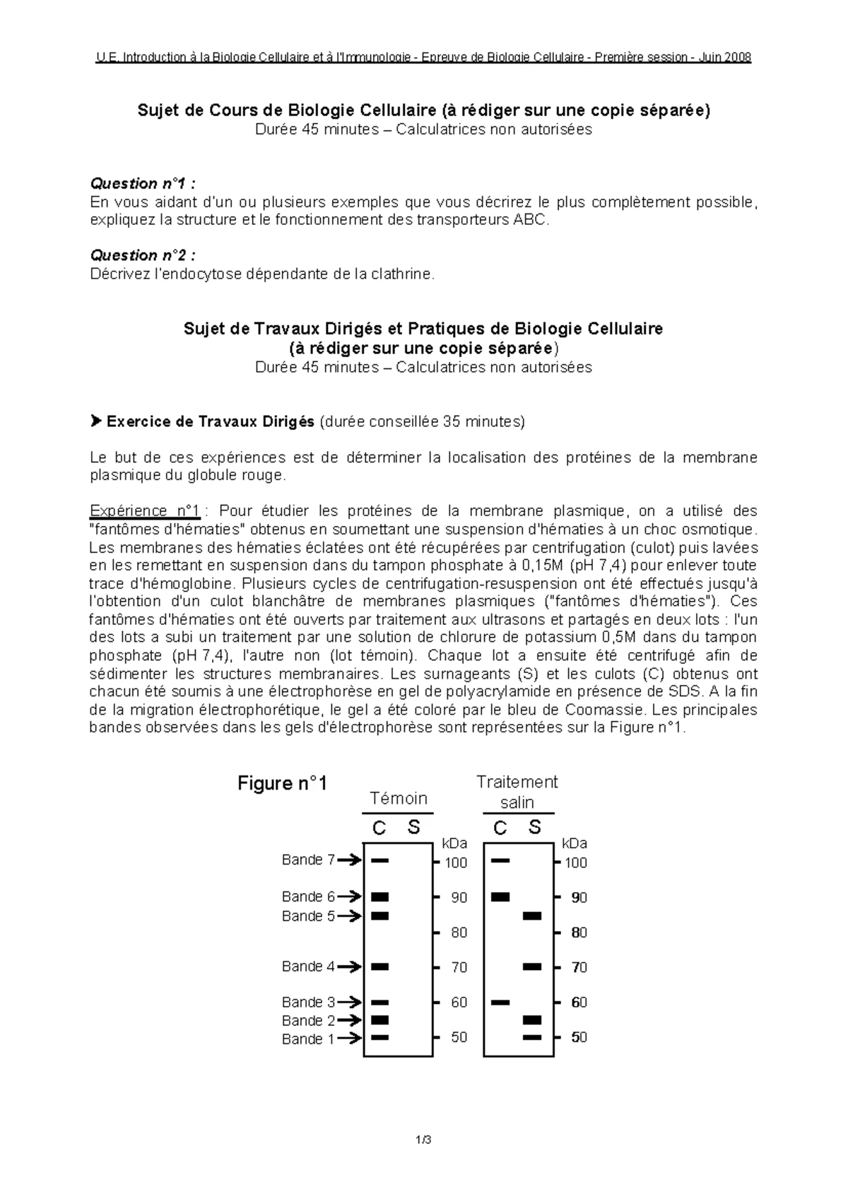 TP muscle striés squelettique L1 - TP : Tissus musculaire strié ...
