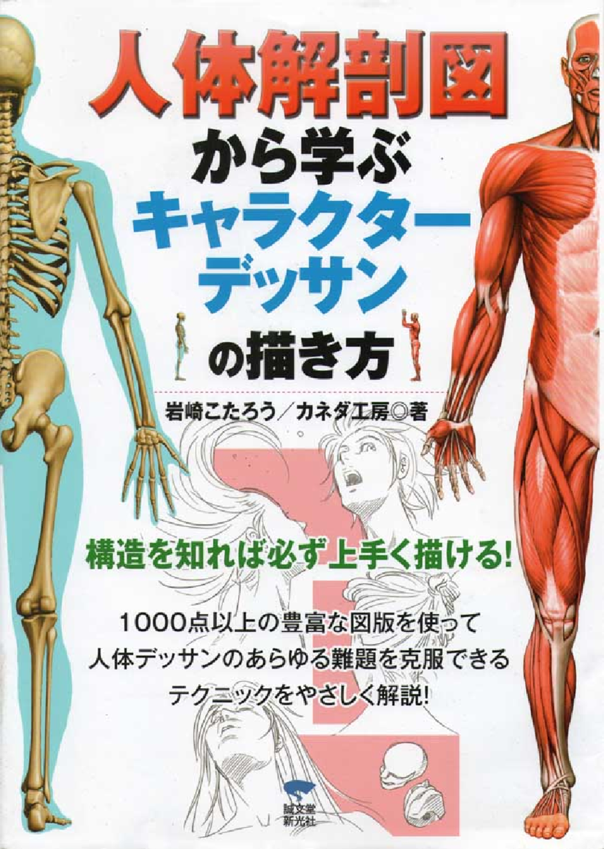 188404772 How to draw characters Drawing from the Anatomical Chart - t3 ...