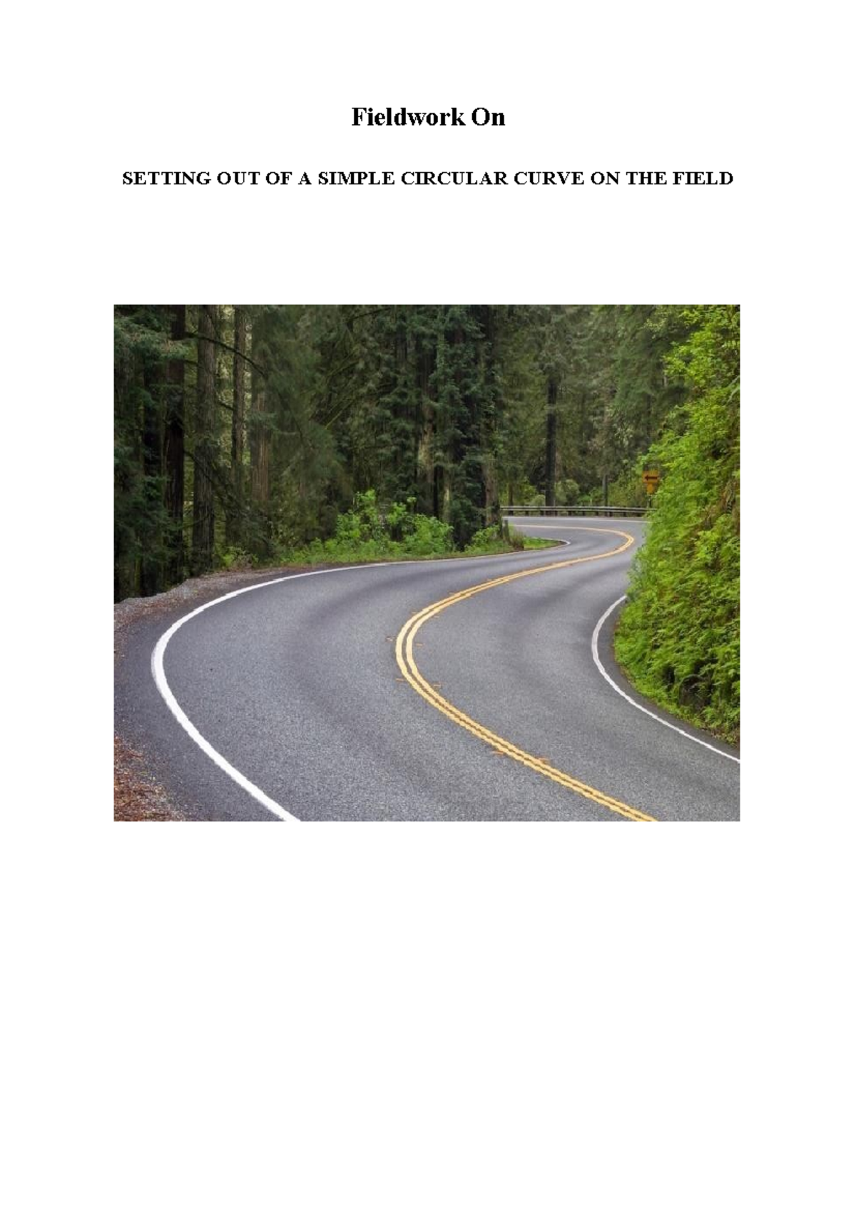Fieldwork Report: Setting Out Simple Circular Curve Techniques - Studocu
