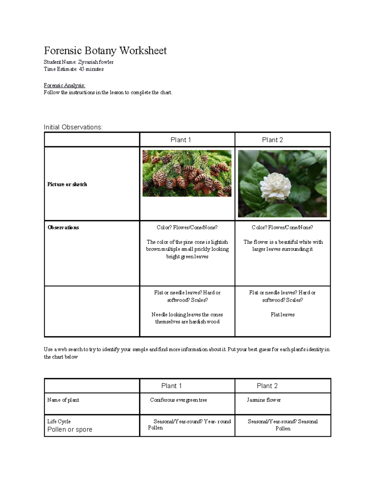 2.05 Forensic Botany Worksheet: Plant Identification and Analysis - Studocu