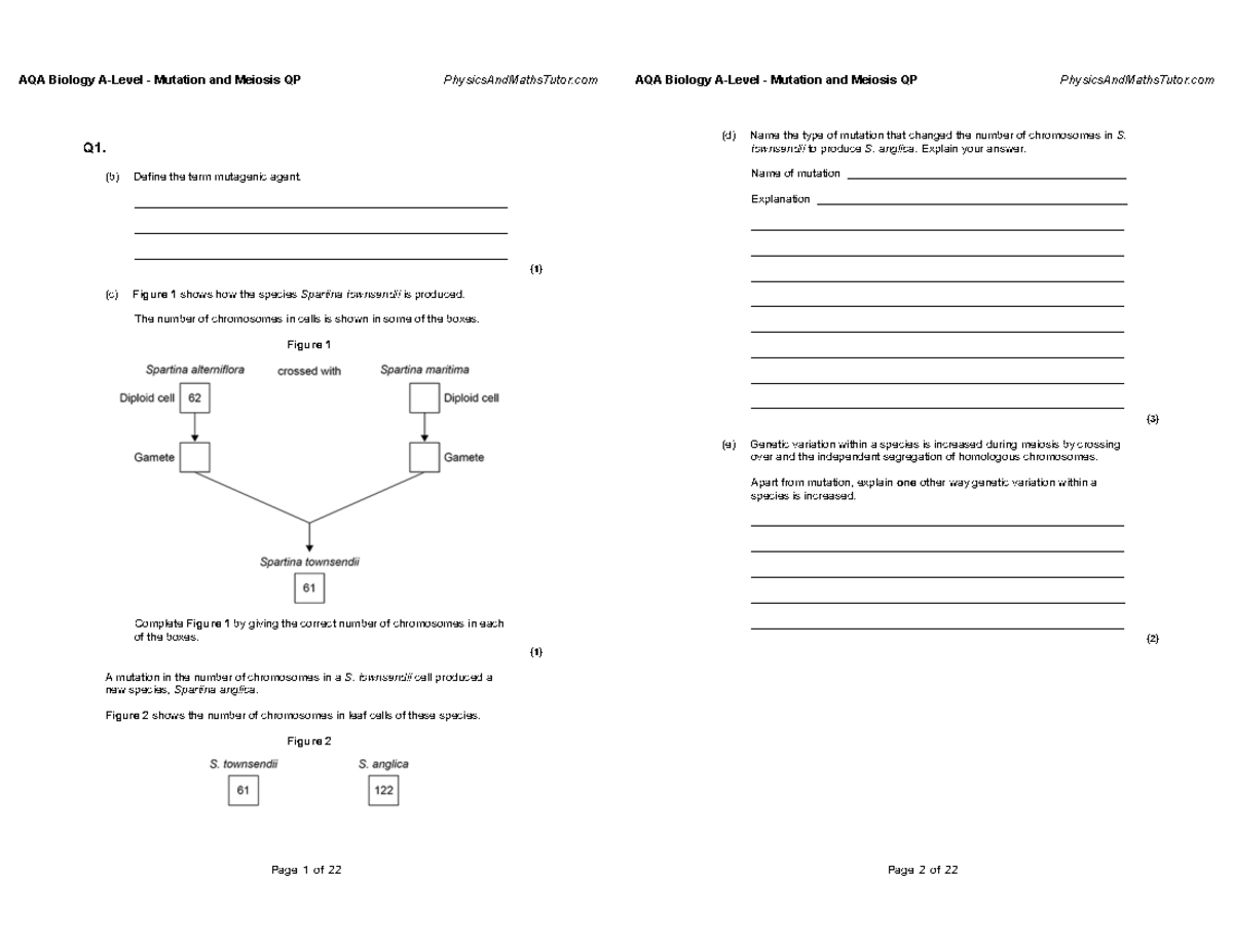 Mutation and Meiosis Question Paper (Biology 101) - Studocu