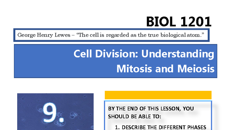 BIOL 1201: Mitosis and Meiosis - Exploring Cell Division Phases - Studocu