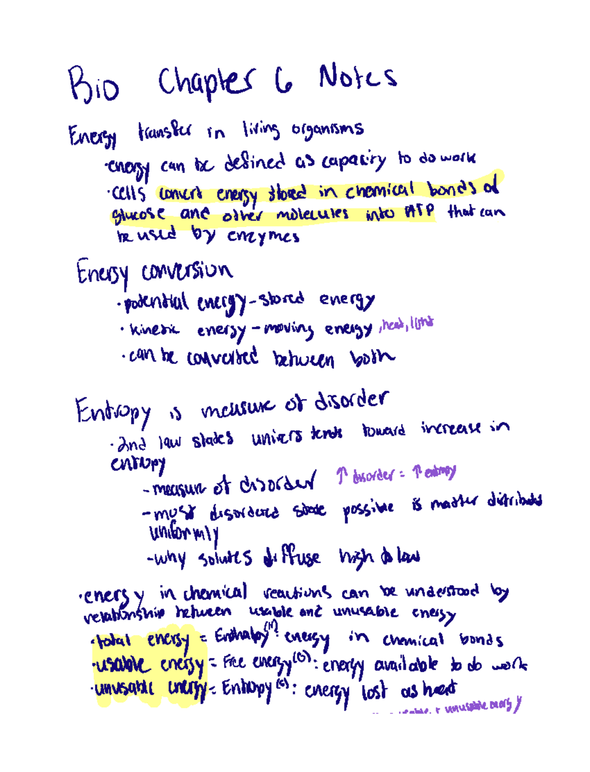 Bio Chapter 6 Notes - Bio Chapter 6 Notes Energy transfer in living ...