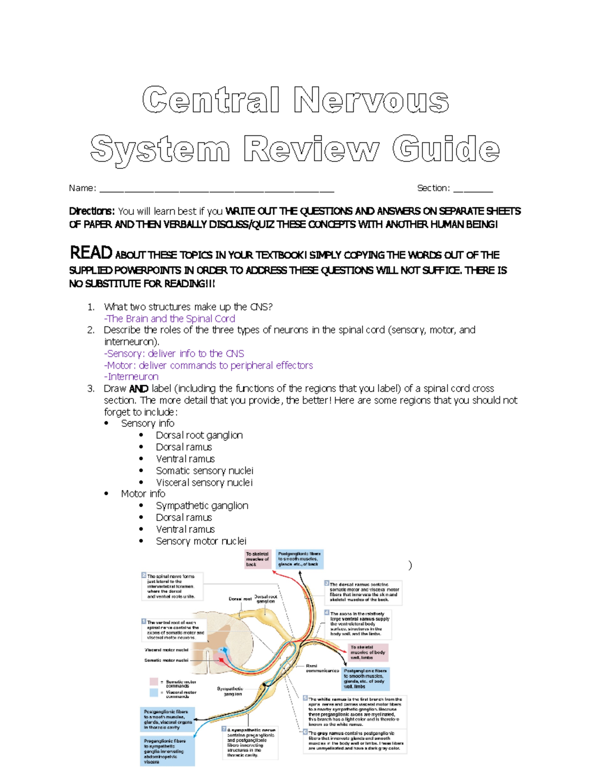 CNS Review Guide - Basic Anatomy - Central Nervous System Review Guide ...