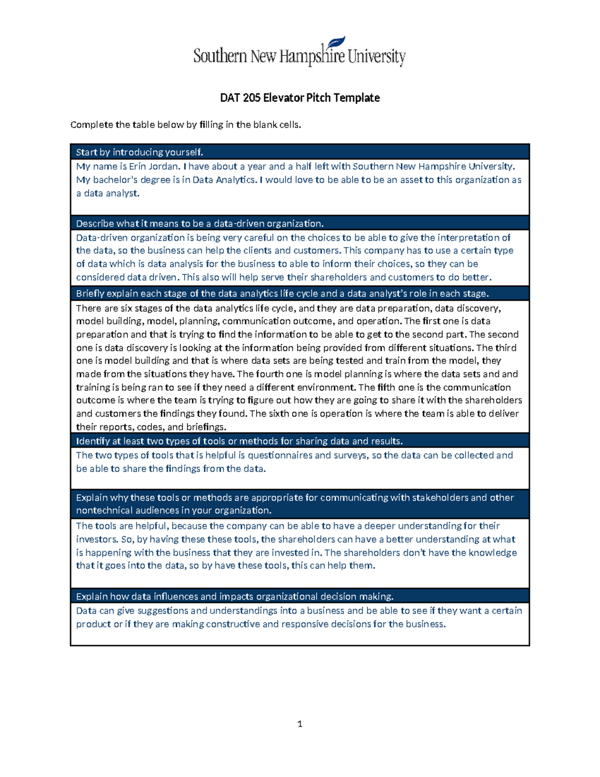 DAT 205 Elevator Pitch Template & Data Analytics Life Cycle Overview ...