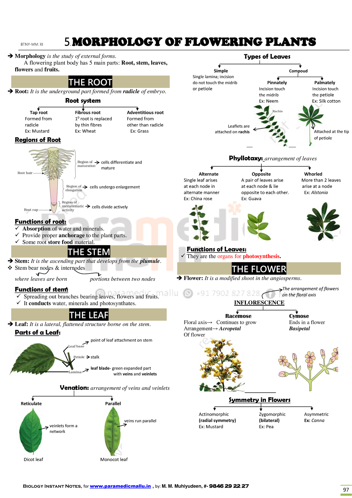 Botany Instant Notes +1: Morphology of Flowering Plants - Studocu