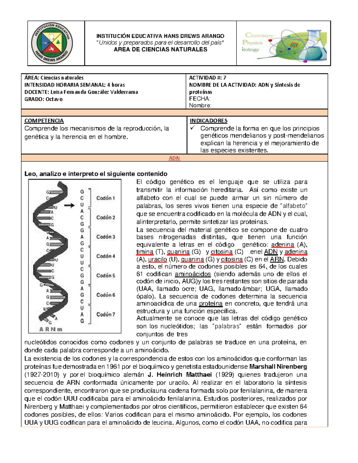 Hoja De Trabajo Sobre El Proceso Del Adn A La Proteína