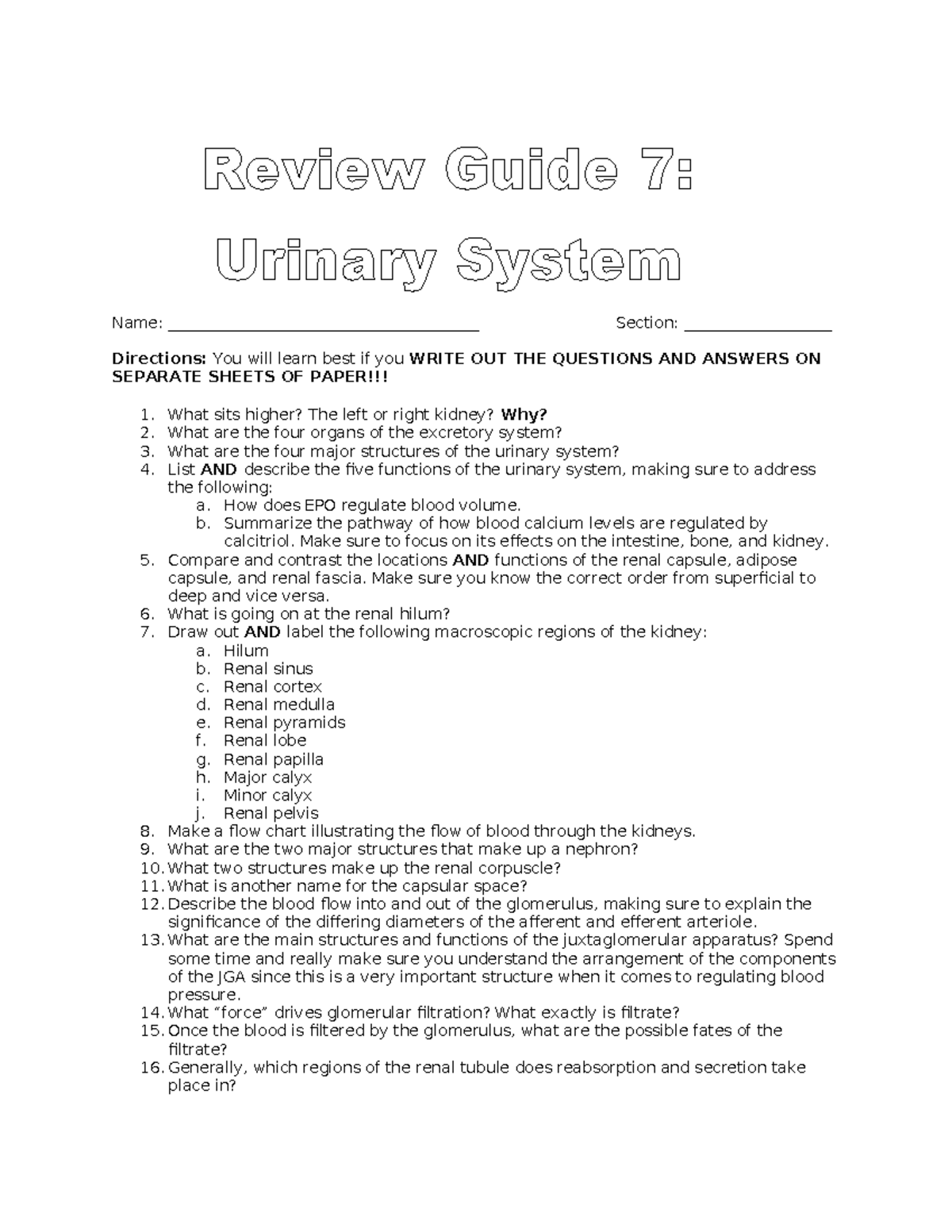 7 Urinary System Review Guide: Key Concepts & Questions - Studocu