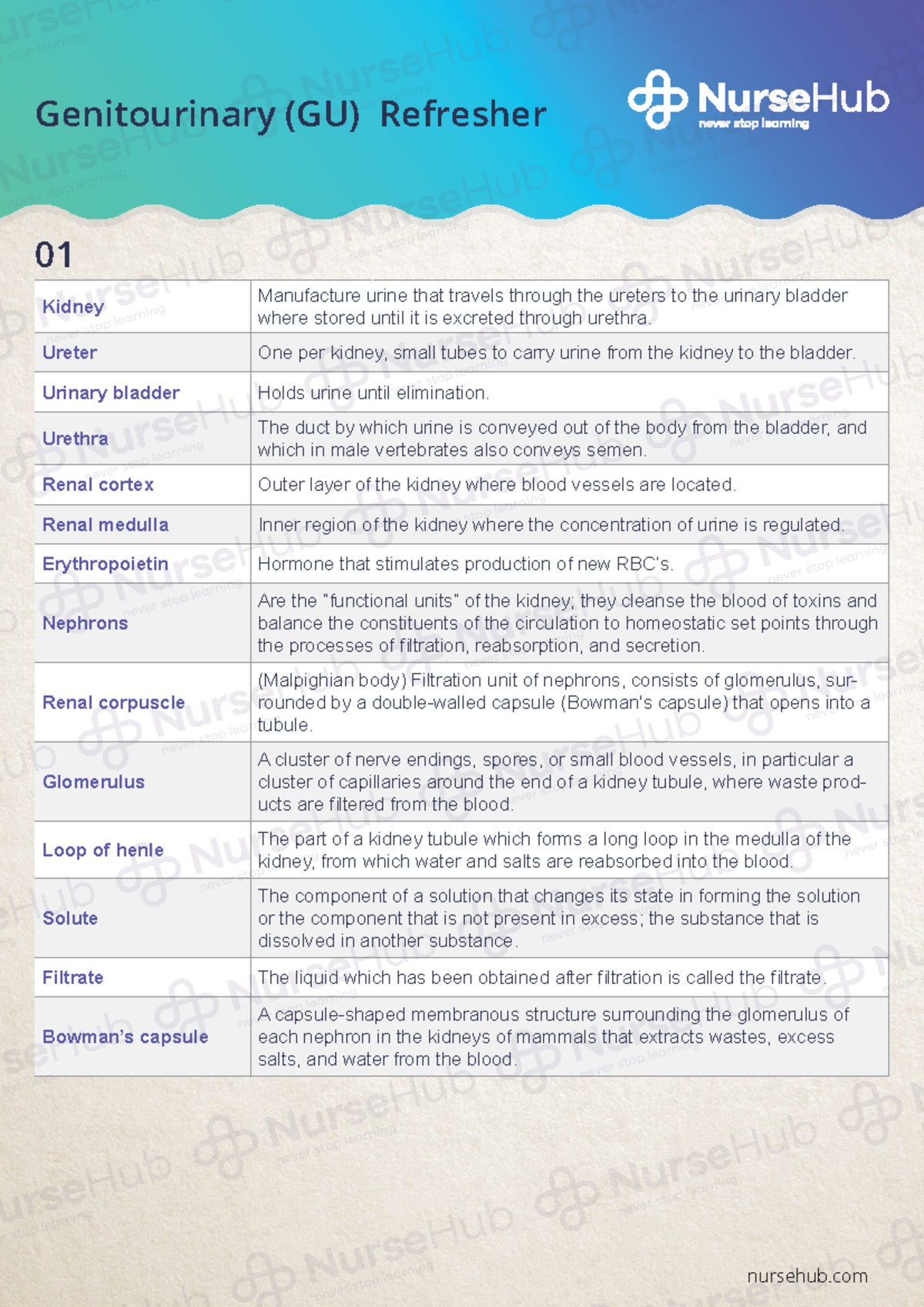 Genitourinary (GU) System Refresher Notes for Nursing Students - Kidney ...