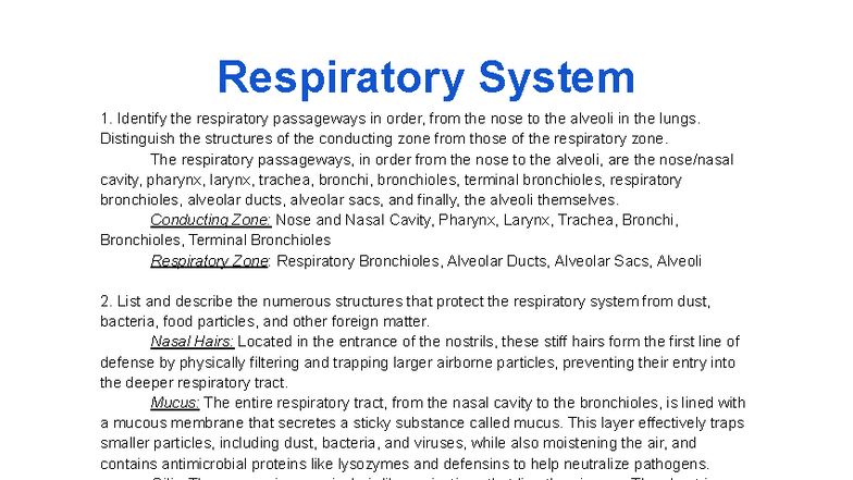 Respiratory System Study Guide: Structure & Functions (BIO 101) - Studocu